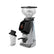 Fiorenzato F4 AllGround Espresso Grinder – Coffeeionado